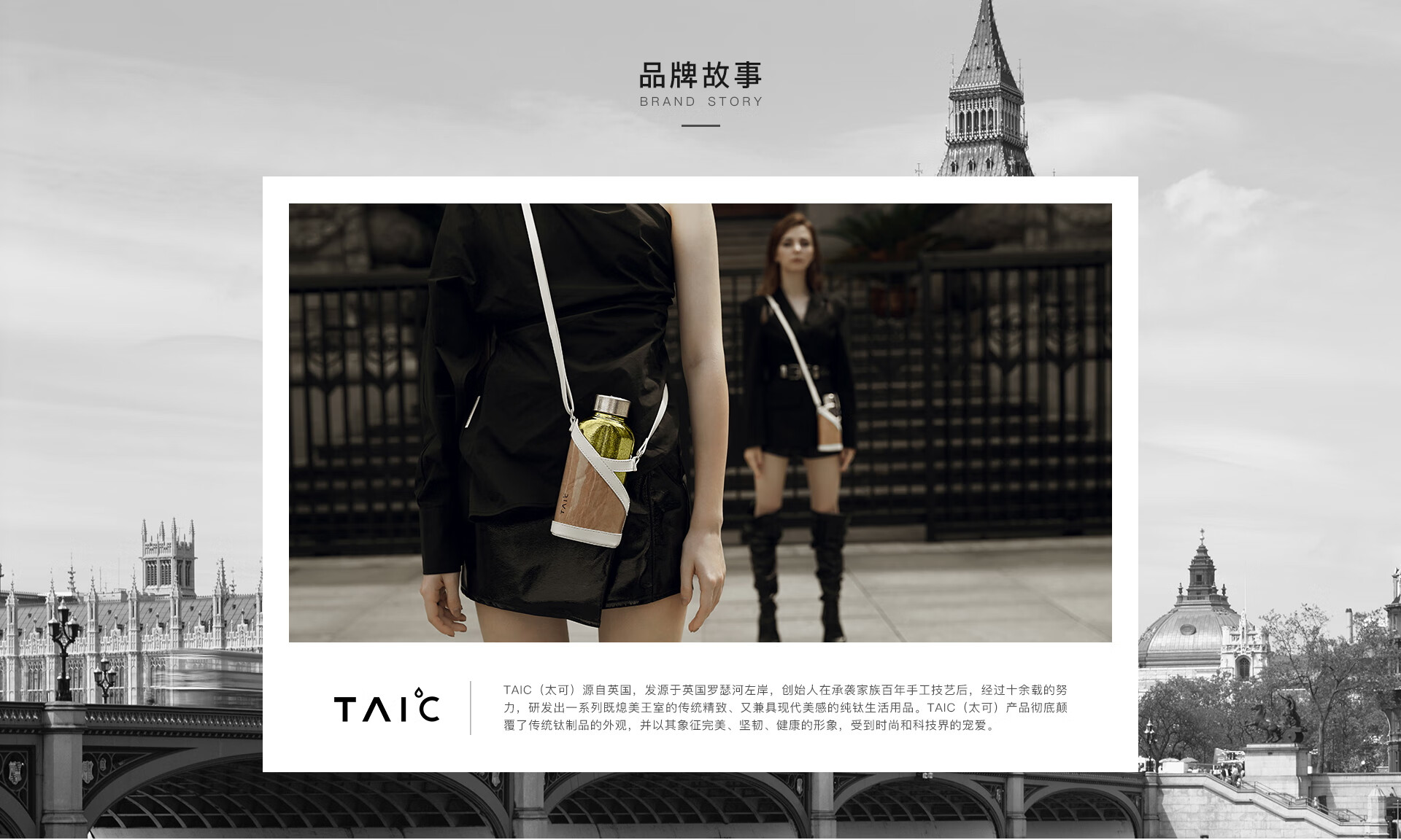 TAIC官方旗舰店 - 京东