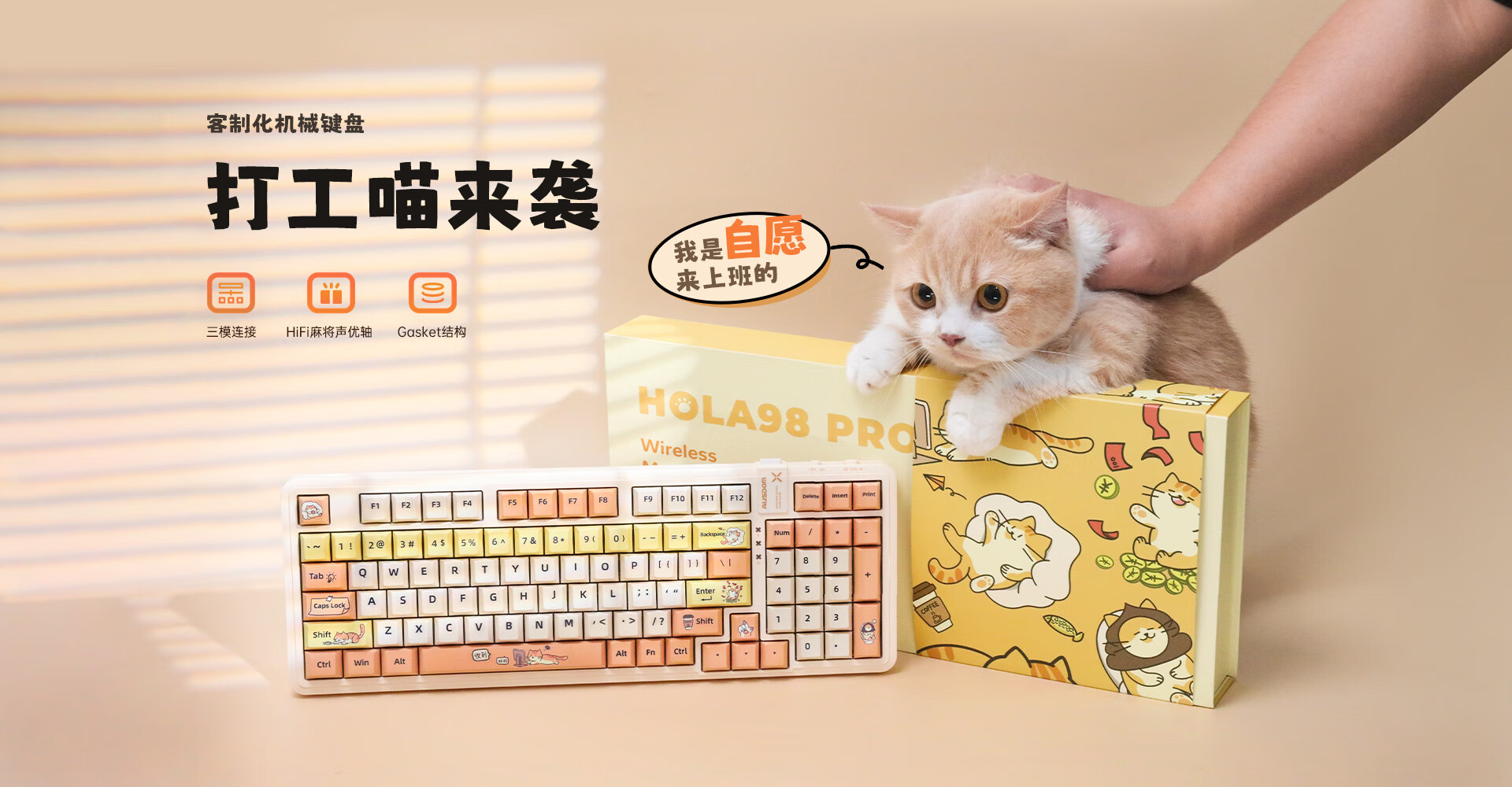 AUSDOM京东自营旗舰店 - 京东