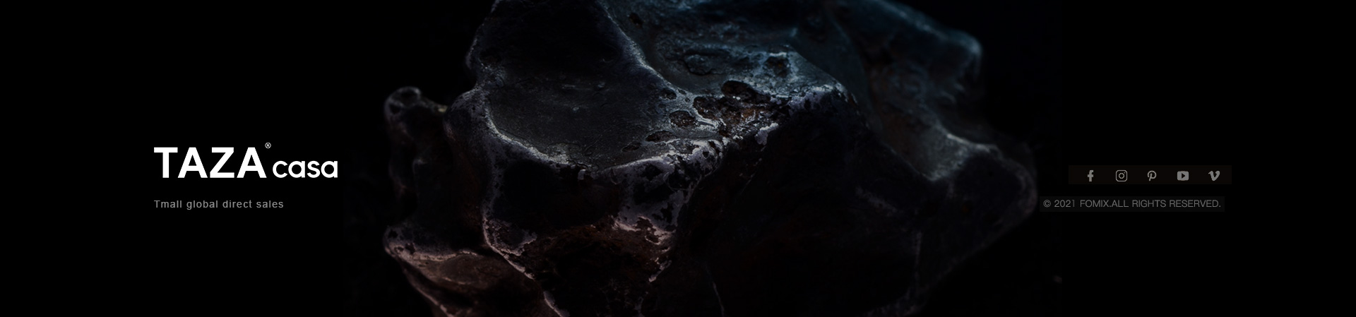 TAZA国际旗舰店 - 京东