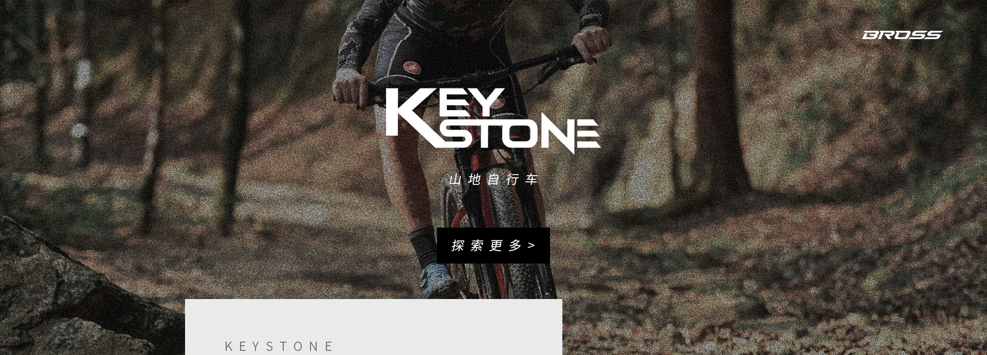 BROSS官方旗舰店 - 京东