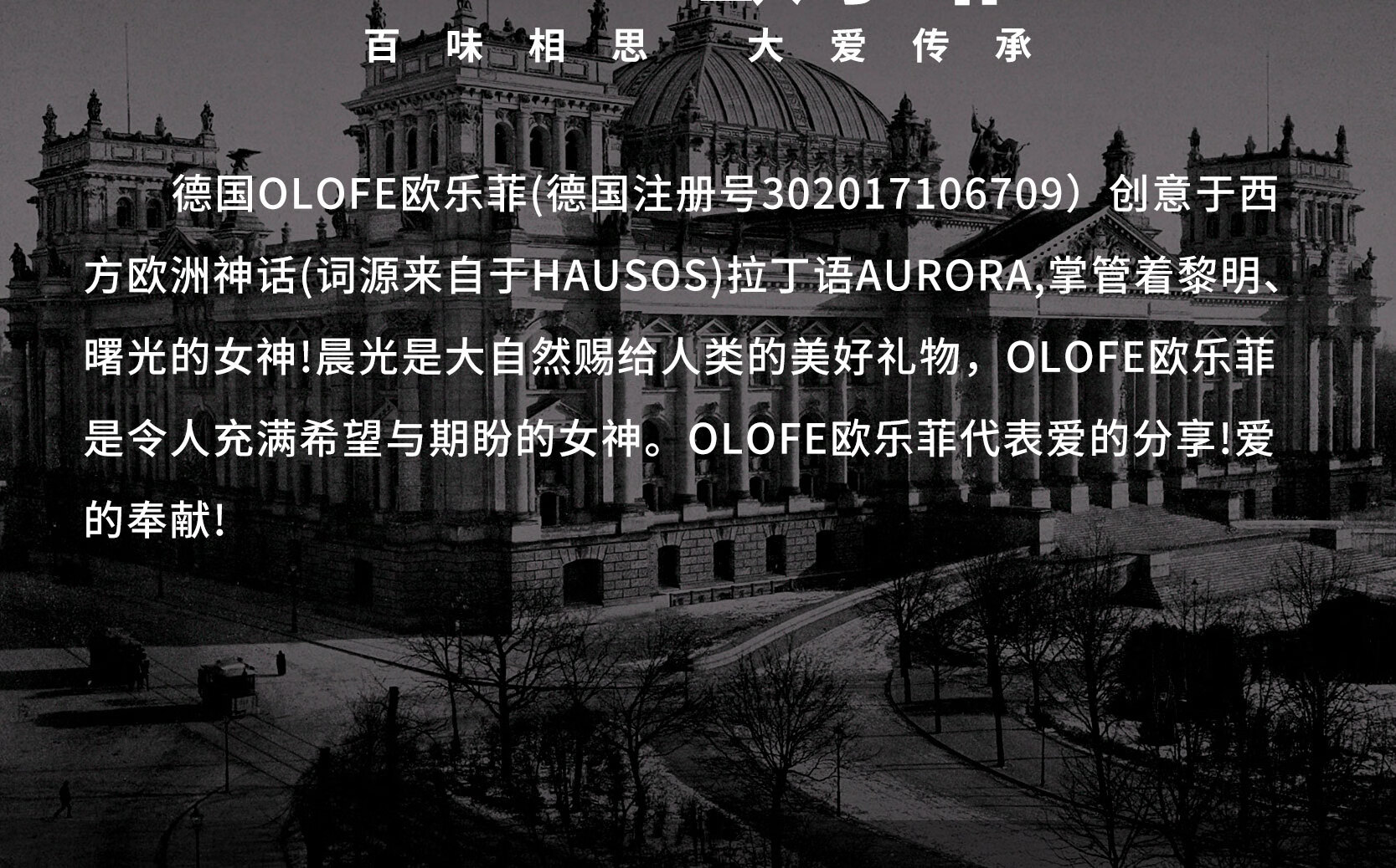 欧乐菲 OLOFE锅具旗舰店 - 京东