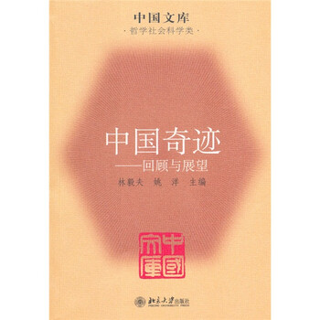 中国奇迹9787301165744北大