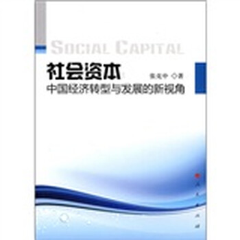 社会资本：中国经济转型与发展的新视角