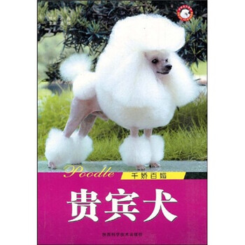 正版 贵宾犬:千娇百媚 9787536943520