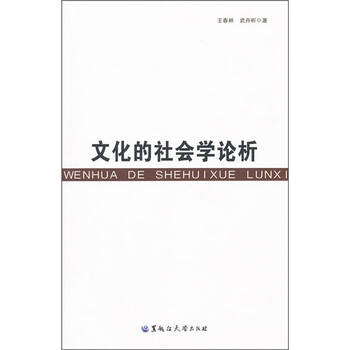 文化的社会学论析