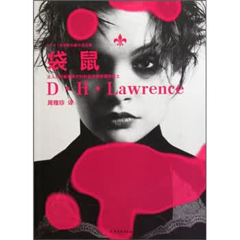 D·H·劳伦斯长篇小说全集：袋鼠