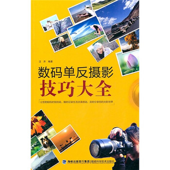 正版书籍 数码单反摄影技巧大全9787533537630