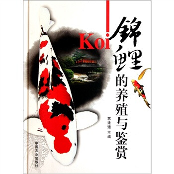 锦鲤的养殖与鉴赏