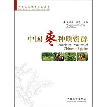 中国枣种质资源