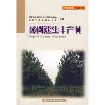 杨树速生丰产林