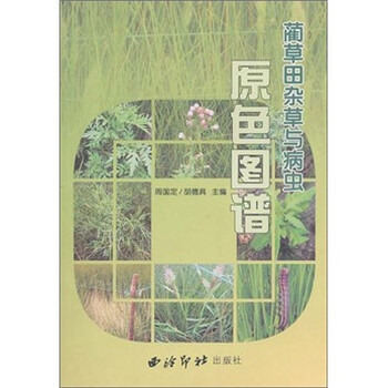 江北中国之~9787807352471西泠印社