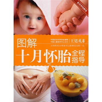  图解十月怀胎全程指导9787543940291