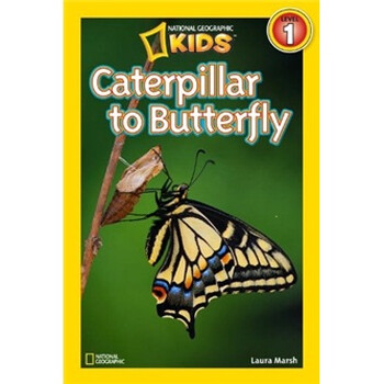 NGR CATERPILLAR TO BUTTERFLY 进口儿童绘本