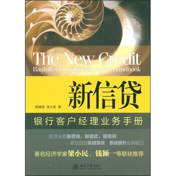 新信贷：银行客户经理业务手册