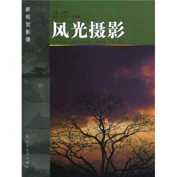 正版 风光摄影9787533018634王传东主编