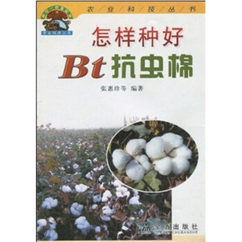 怎样种好Bt抗虫棉