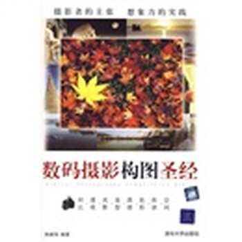 数码摄影构图~~9787302213048