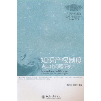 知识产权制度法典化问题研究