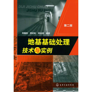 地基基础处理技术与实例（第2版）