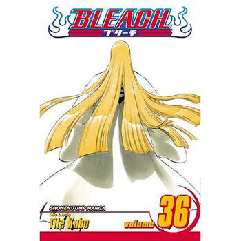 Bleach, Vol. 36: Volume 36