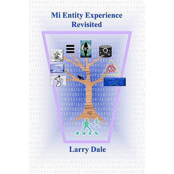 Mi Entity Experience Revisited