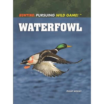 【】Waterfowl