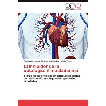 【】El Inhibidor de La Autofagia: