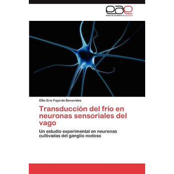 【】Transducci N del Fr O En Neurona