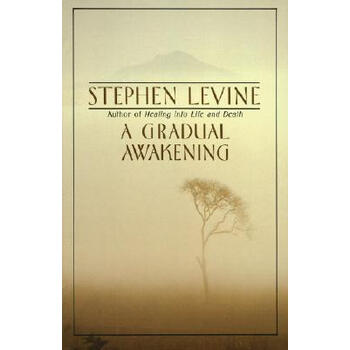 【】A Gradual Awakening