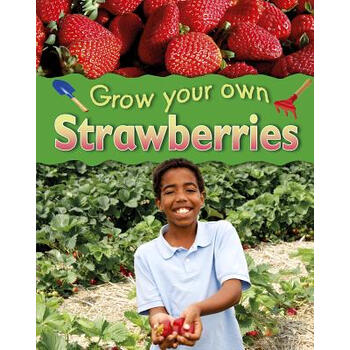 【】Grow Your Own Strawberries