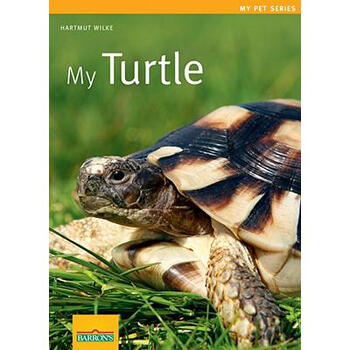My Turtle