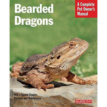 Bearded Dragons
