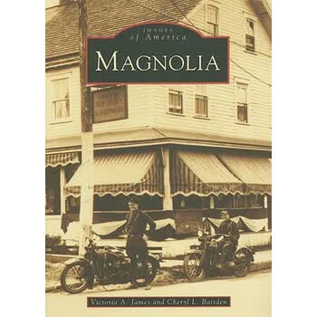 【】Magnolia
