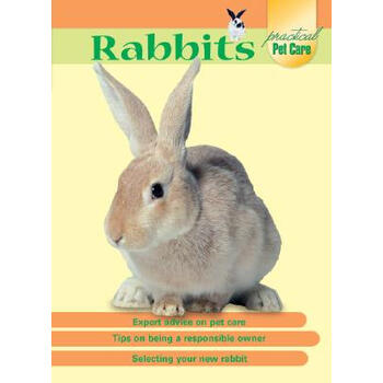 【】Rabbits