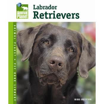 【】Labrador Retrievers