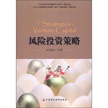 风险投资策略