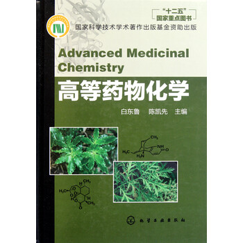 高等药物化学(精)