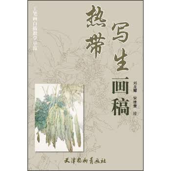 工笔画白描教学示范：热带写生画稿