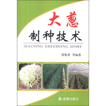 大葱制种技术