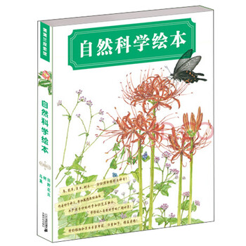 自然科学绘本系列 鸟（套装共3册）让孩子爱上自然的科普绘本 蒲蒲兰绘本