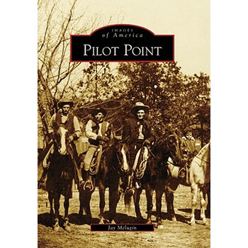 【】Pilot Point
