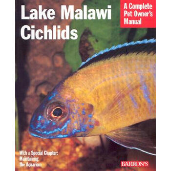 【】Lake Malawi Cichlids