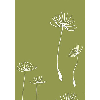 【】Lotta Jansdotter Seedlings