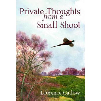 【】Private Thoughts from a Small