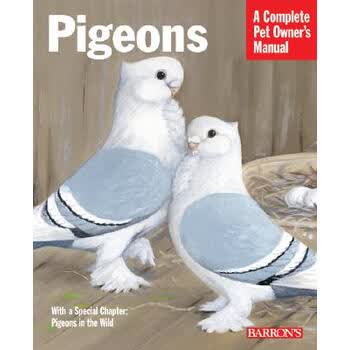 【】Pigeons