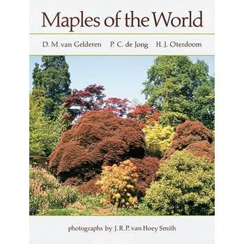 【】Maples of the World