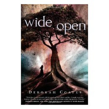 【】Wide Open