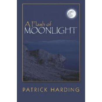 【】A Flash of Moonlight