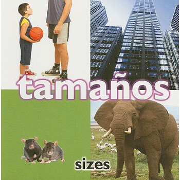 【】Tamanos/Sizes