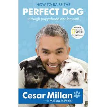 How to Raise the Perfect Dog Through Puppyho...